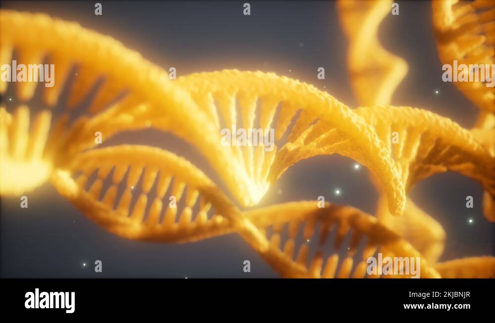 double helical structure of dna strand close-up animation Stock Video ...