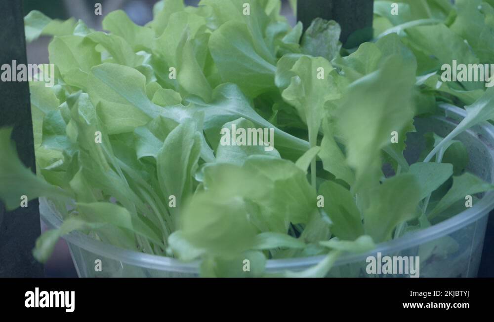 Modern method of cultivation Stock Videos & Footage - HD and 4K Video ...