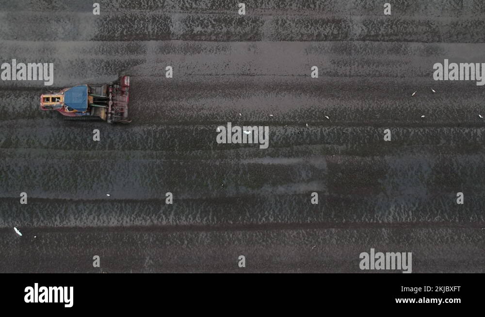 Running in rice field in Stock Videos & Footage - HD and 4K Video Clips ...