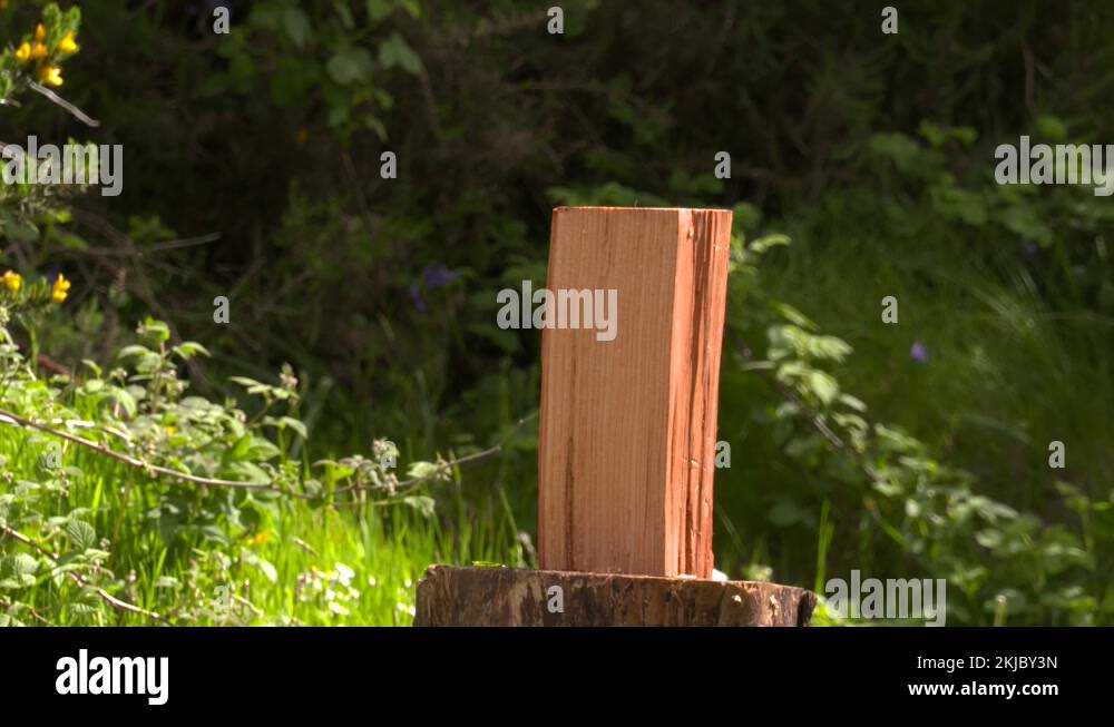 Log splitting Stock Videos & Footage - HD and 4K Video Clips - Alamy