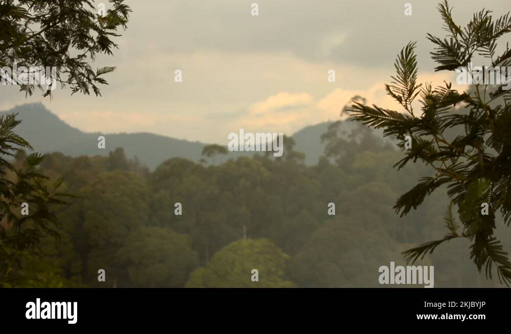 Sloping hill Stock Videos & Footage - HD and 4K Video Clips - Alamy