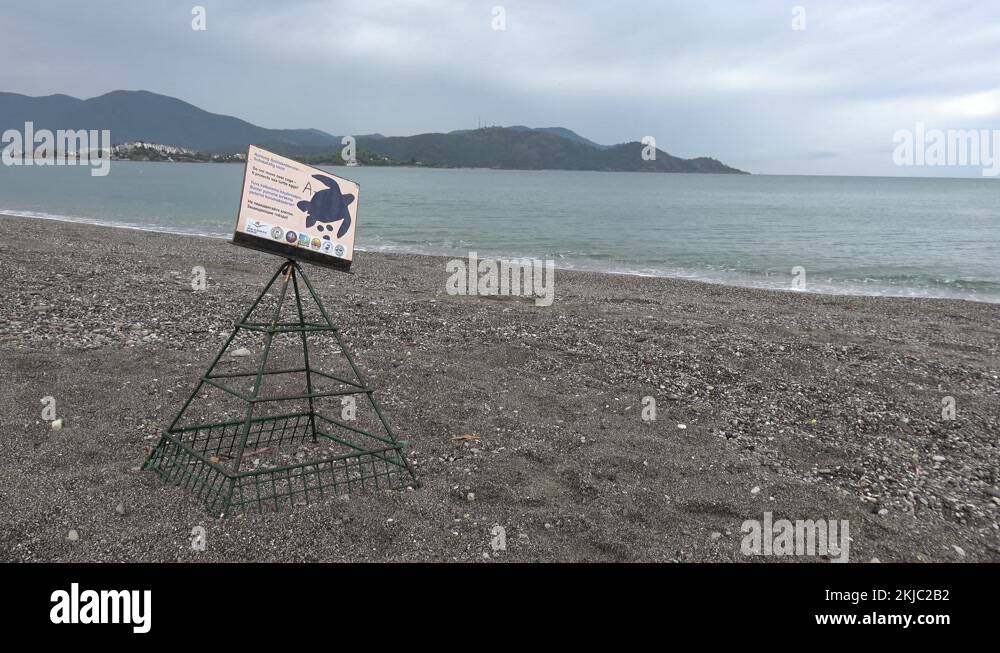 Sea turtle nest protection Stock Videos & Footage - HD and 4K Video ...