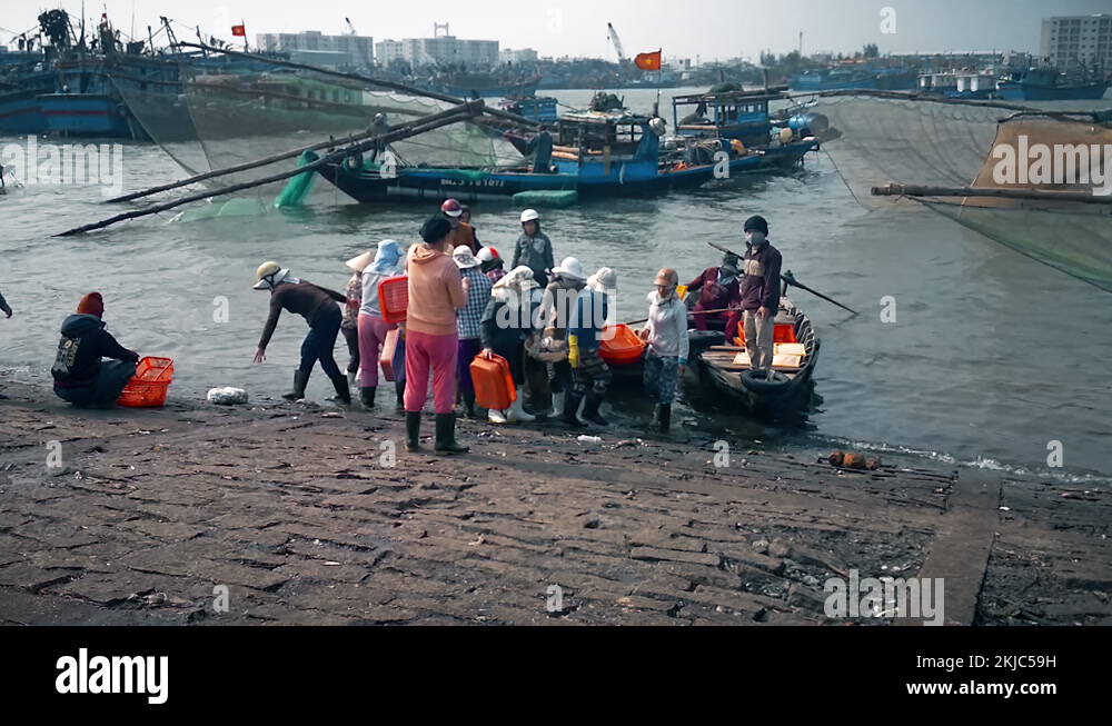 Collecting fish Stock Videos & Footage - HD and 4K Video Clips - Alamy