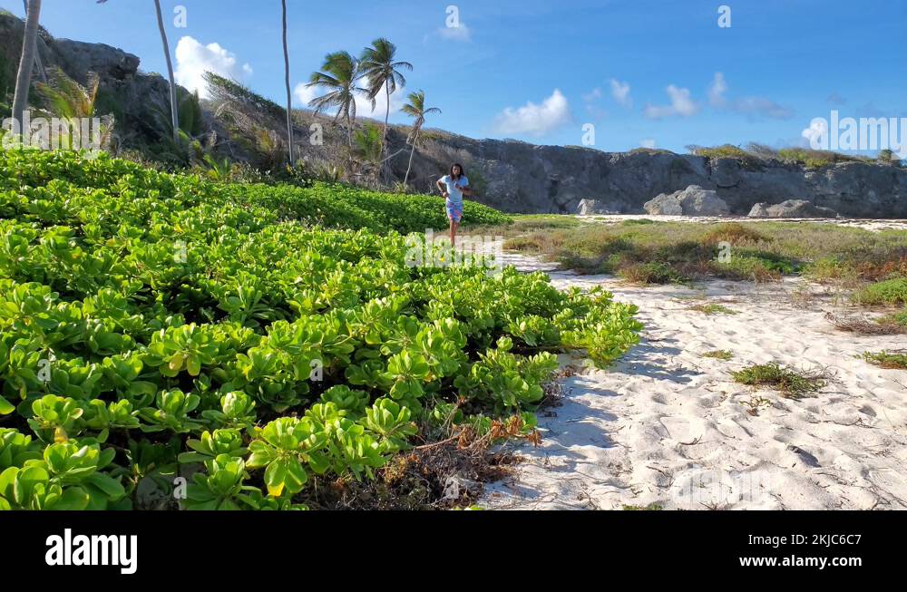 Caribbean jog Stock Videos & Footage - HD and 4K Video Clips - Alamy