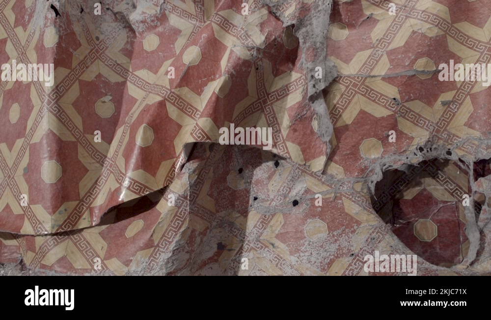 Wall paper border Stock Videos & Footage - HD and 4K Video Clips - Alamy