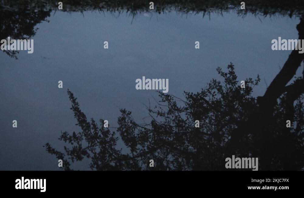 Reflection of man running by and making a rippling splash through ...