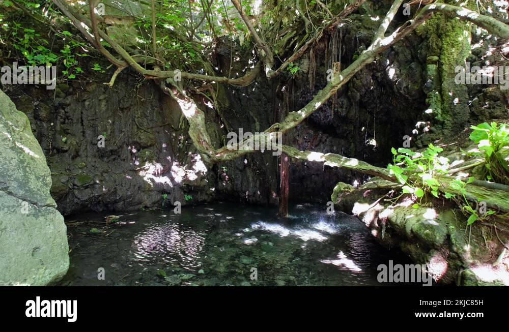 Baths of Aphrodite - the pool in the natural cave in Botanical garden ...