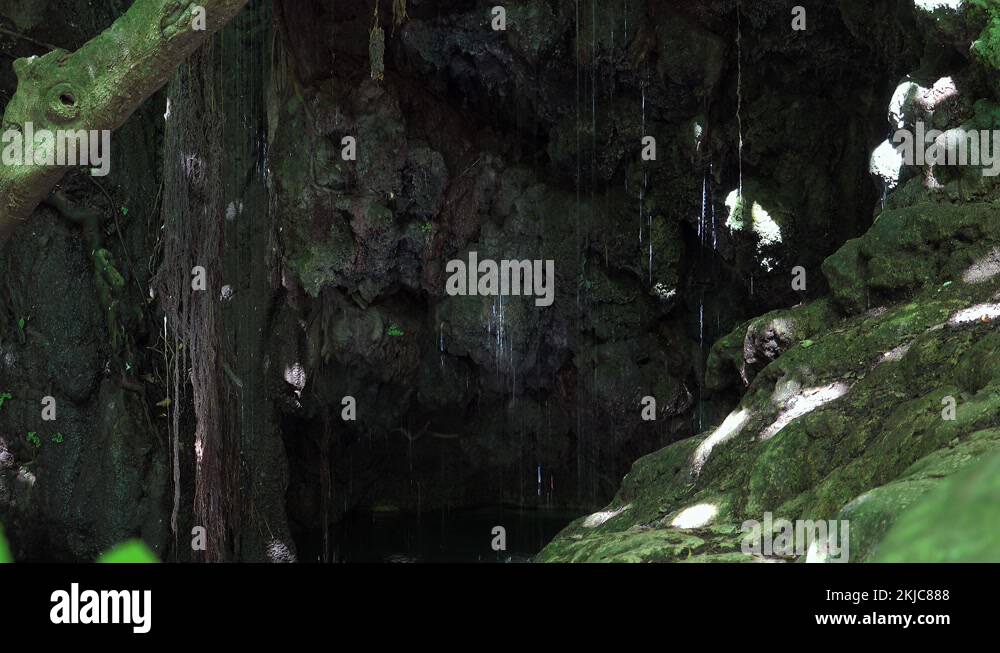 Video of Baths of Aphrodite - the pool in natural cave in Botanical ...