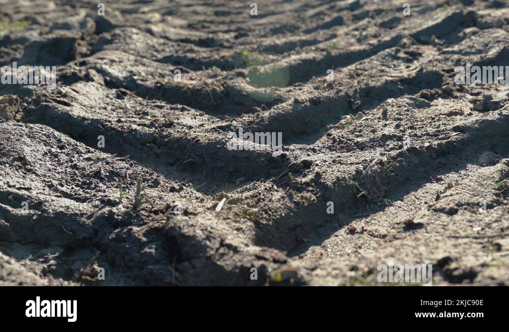 Deep track Stock Videos & Footage - HD and 4K Video Clips - Alamy