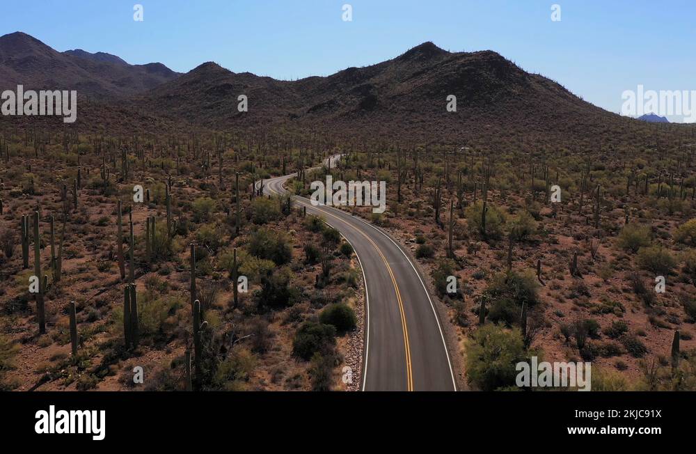 American road and cactus Stock Videos & Footage - HD and 4K Video Clips ...