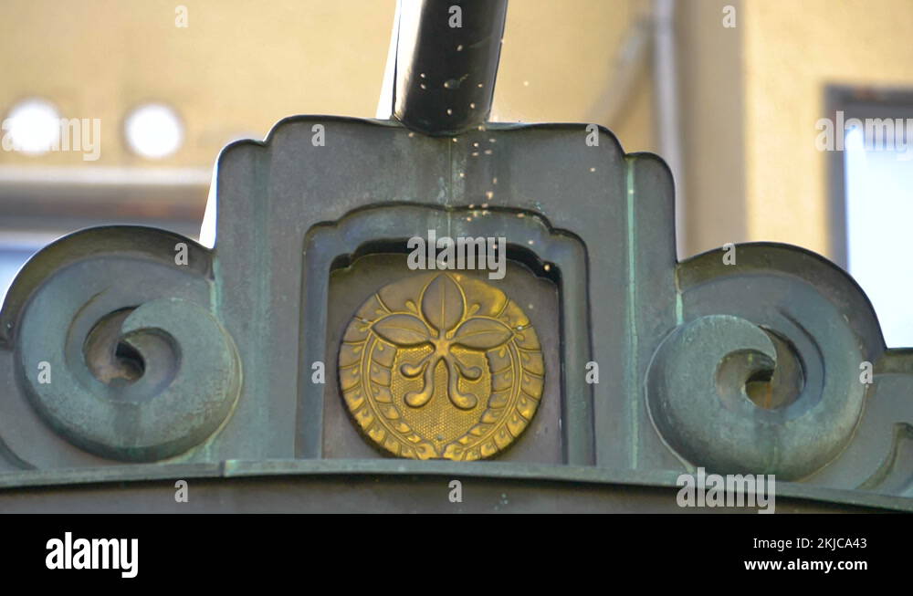 The tiny flying insects from the statue in Japan Stock Video Footage ...