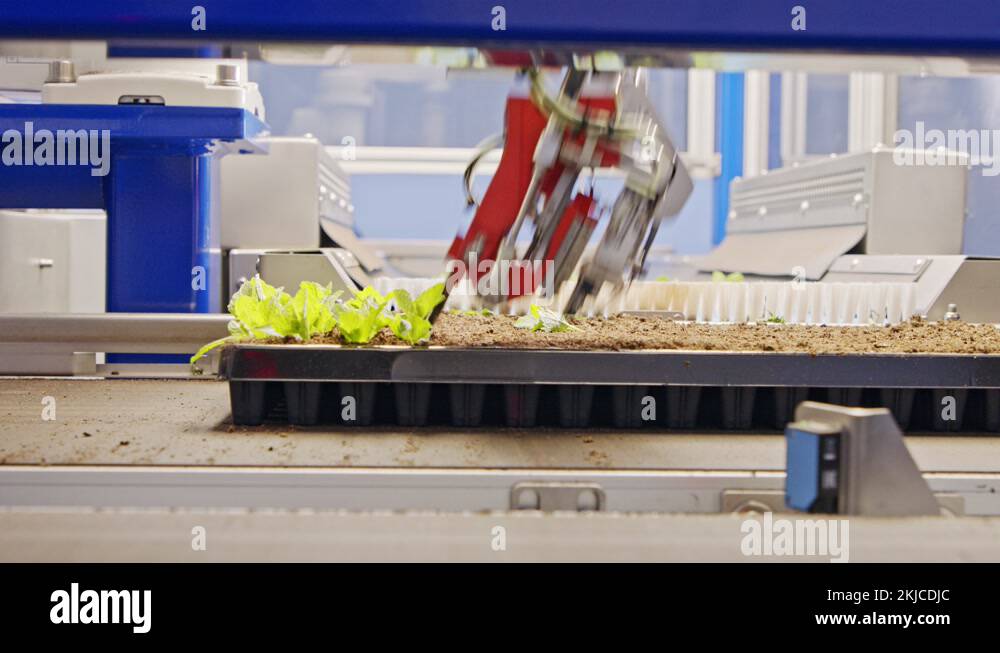 Automated planting process using advanced robot for planting leaves in ...