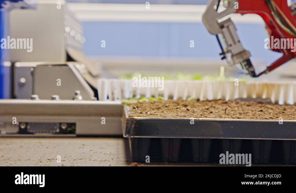 Automated planting process using advanced robot for planting leaves in ...