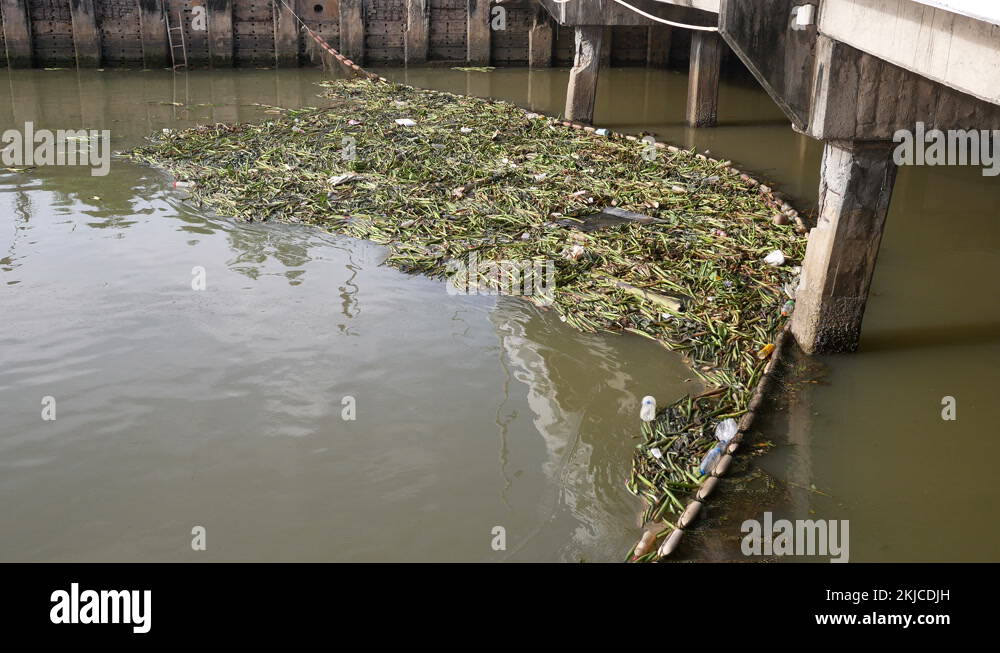 Garbage in canal Stock Videos & Footage - HD and 4K Video Clips - Alamy