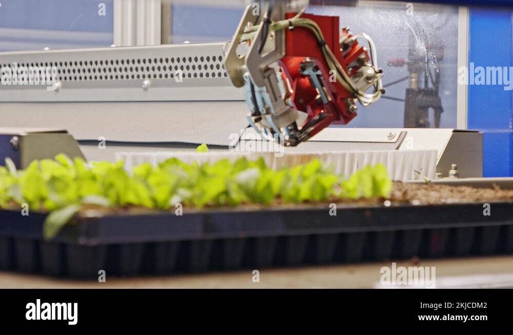 Automated planting process using advanced robot for planting leaves in ...