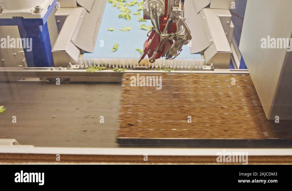 Automated planting process using advanced robot for planting leaves in ...