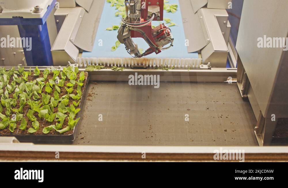 Automated planting process using advanced robot for planting leaves in ...