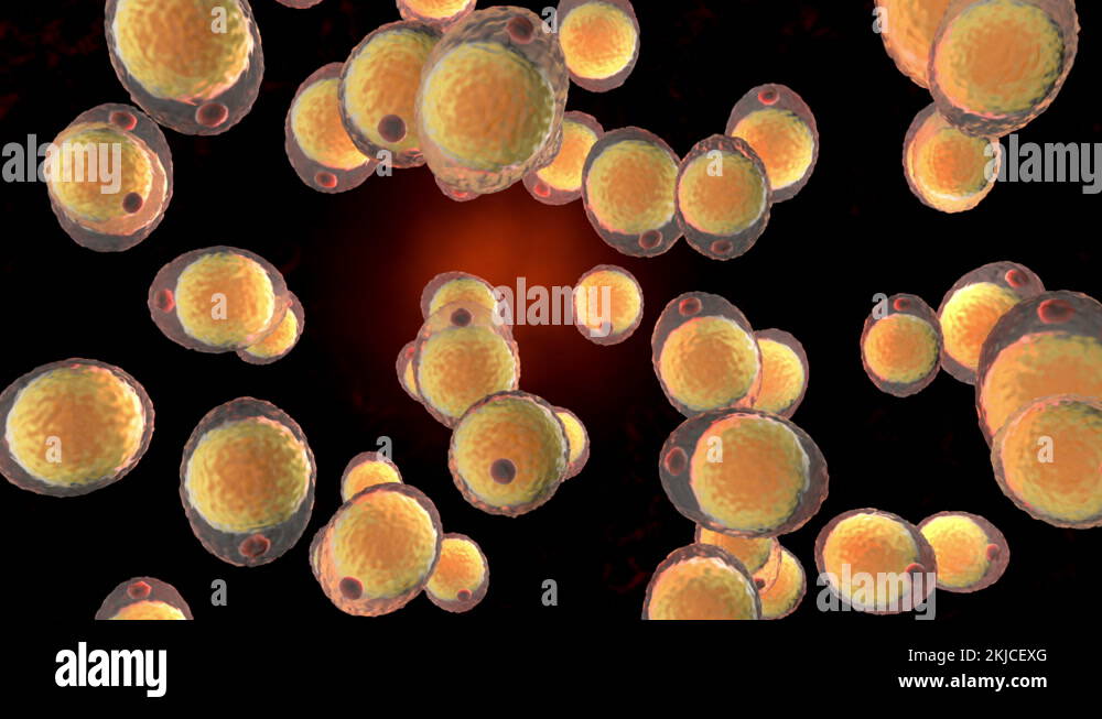 Floating fat Stock Videos & Footage - HD and 4K Video Clips - Alamy