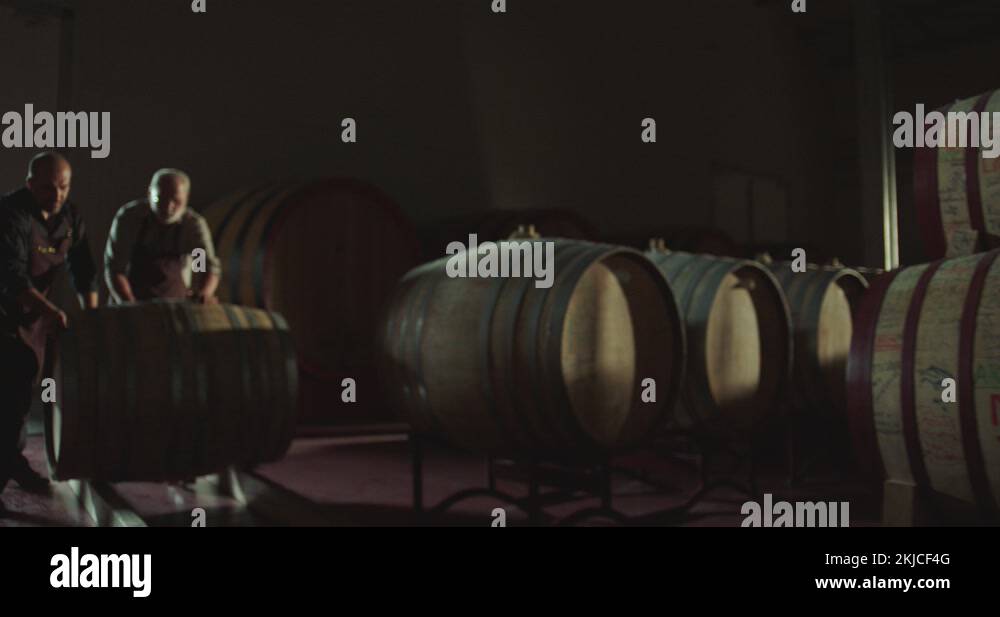 Two Winemakers In Vintage , Traditional Wine Factory Rolls Barrel Stock ...