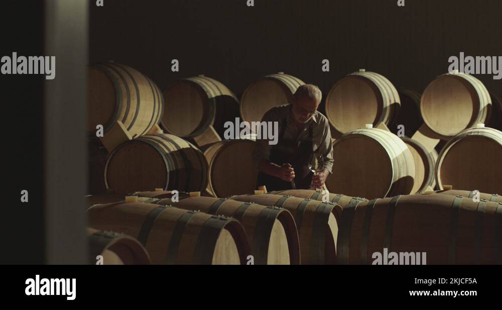 4K Winemaker Checking On Wine By Sampling Pipette. Man Testing Wine In ...