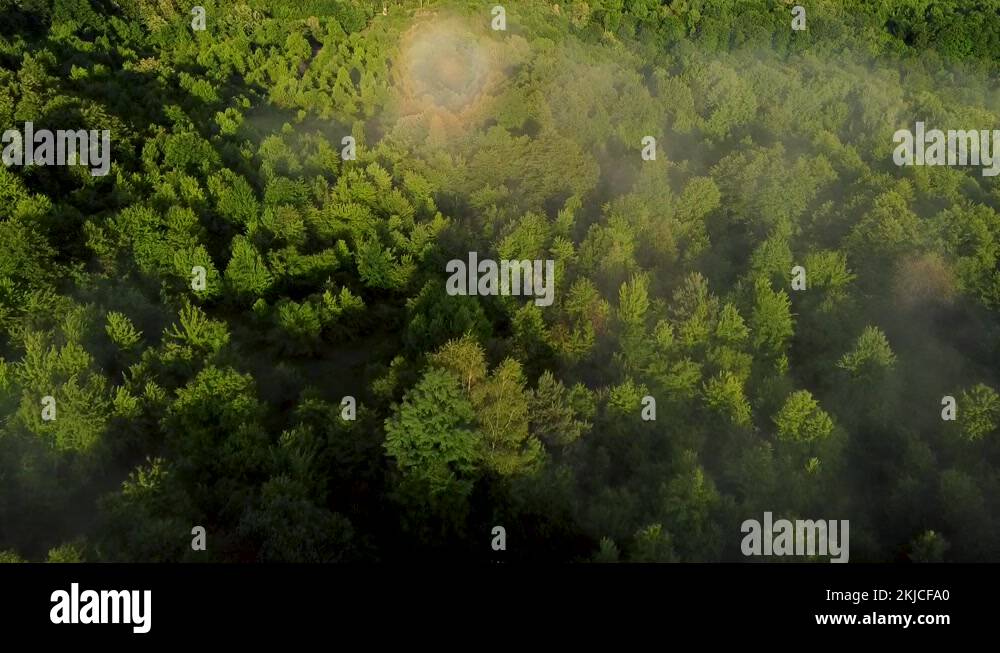 Spectre of brocken Stock Videos & Footage - HD and 4K Video Clips - Alamy