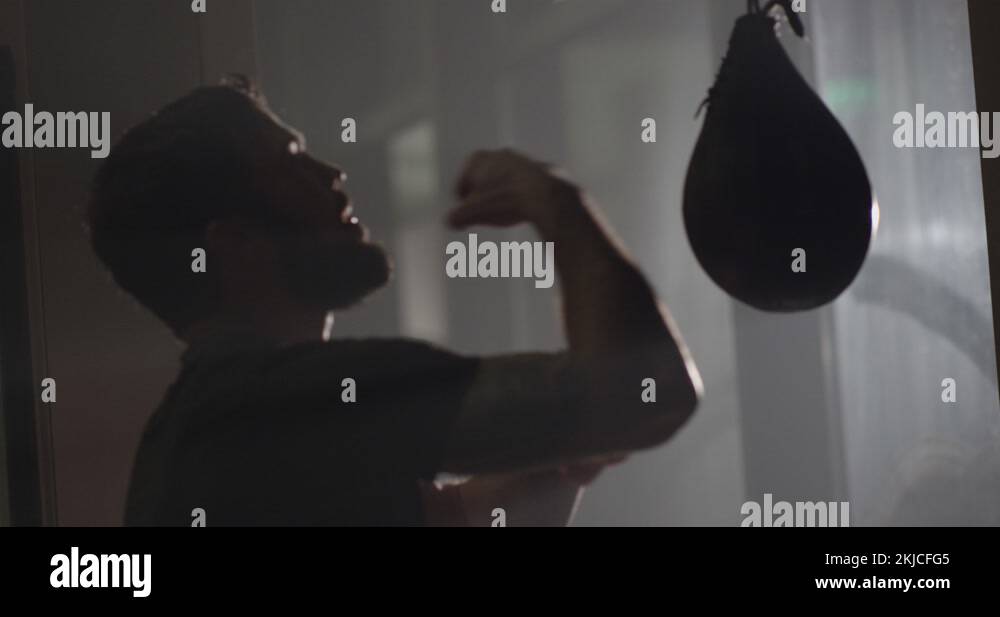 Silhouette professional boxer boxing Stock Videos & Footage - HD and 4K ...