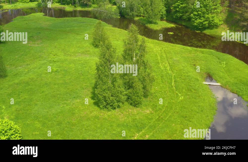 Deep canopies Stock Videos & Footage - HD and 4K Video Clips - Alamy