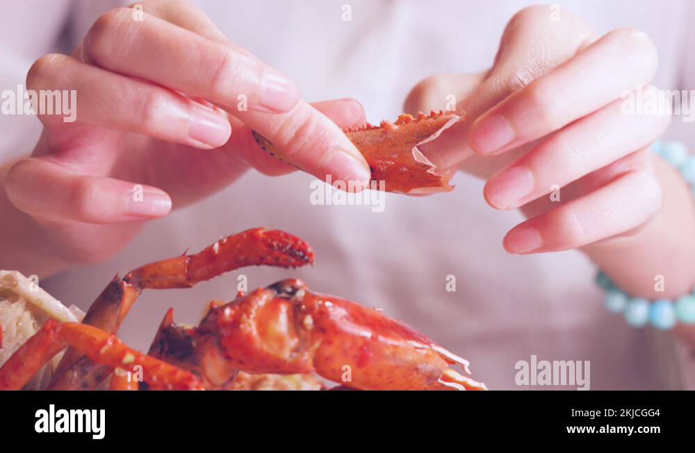 Man eating a lobster Stock Videos & Footage - HD and 4K Video Clips - Alamy