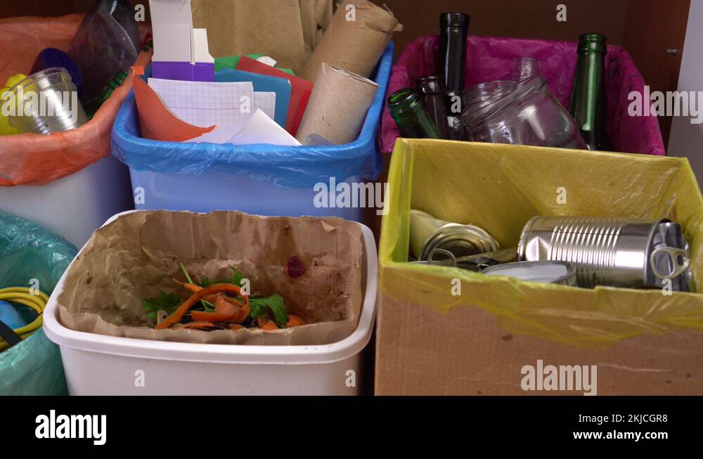 Recycle: plastic, paper, glass, organic waste, hazardous waste Stock ...