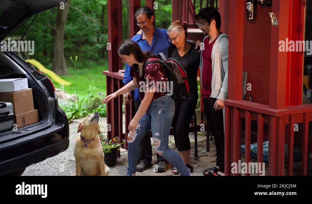 Moving out of house Stock Videos & Footage - HD and 4K Video Clips - Alamy