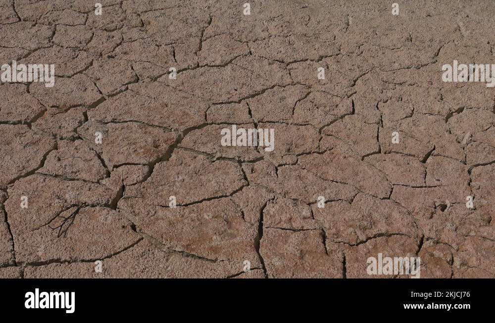 Drought land with cracks in the soil of a farm UK 4K Stock Video ...