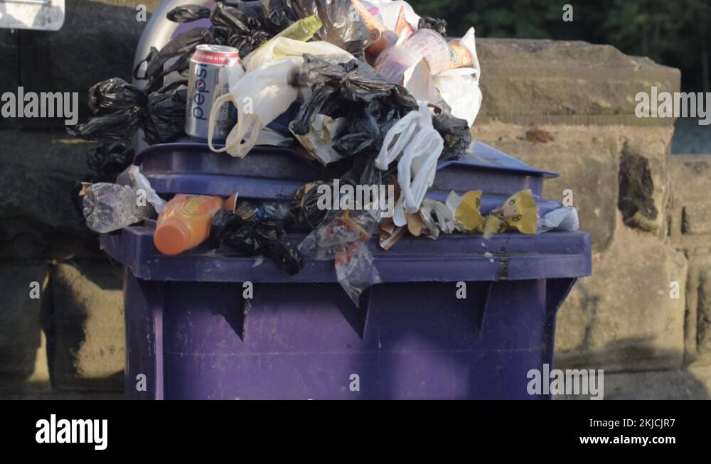 Overflowing litter bin park Stock Videos & Footage - HD and 4K Video ...