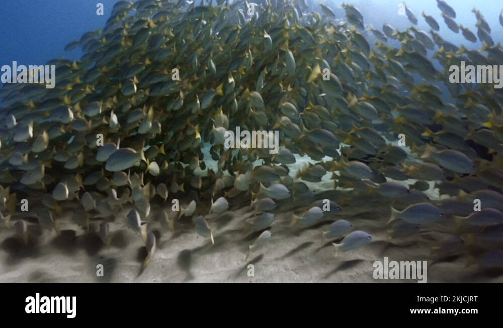 Different directions across Stock Videos & Footage - HD and 4K Video ...