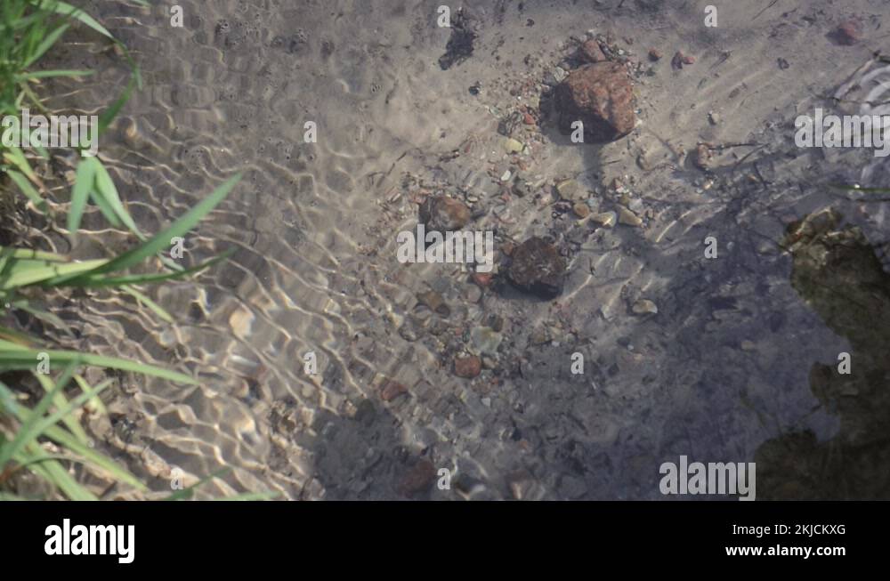 Sandy bottom nature park Stock Videos & Footage - HD and 4K Video Clips ...