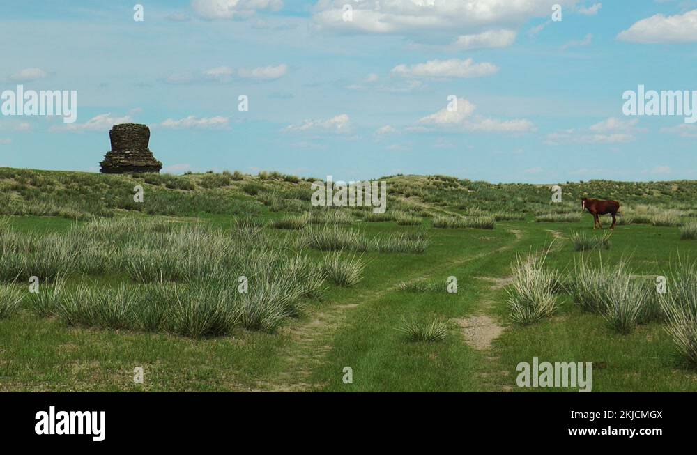 Mongolian steppe horse Stock Videos & Footage - HD and 4K Video Clips ...