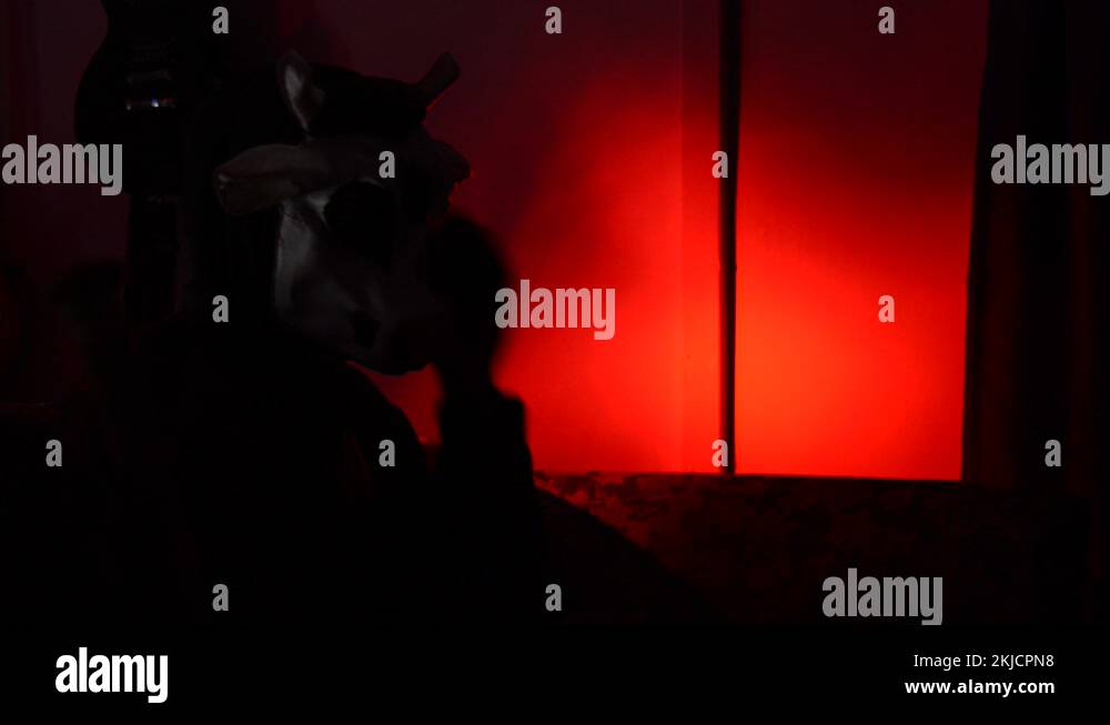 Scary cow Stock Videos & Footage - HD and 4K Video Clips - Alamy