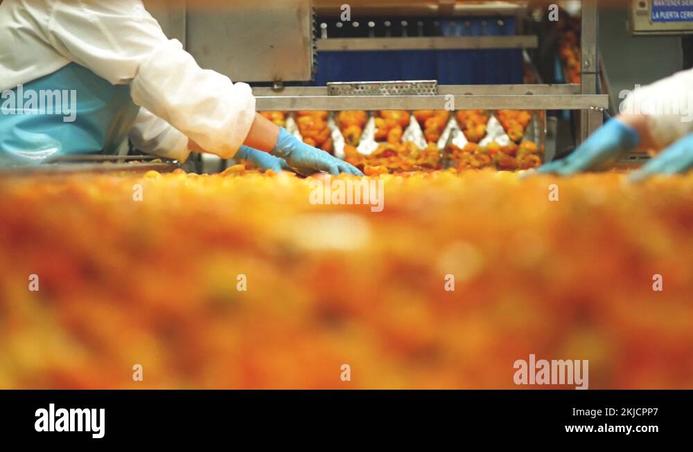 Dry apricot fruit Stock Videos & Footage - HD and 4K Video Clips - Alamy