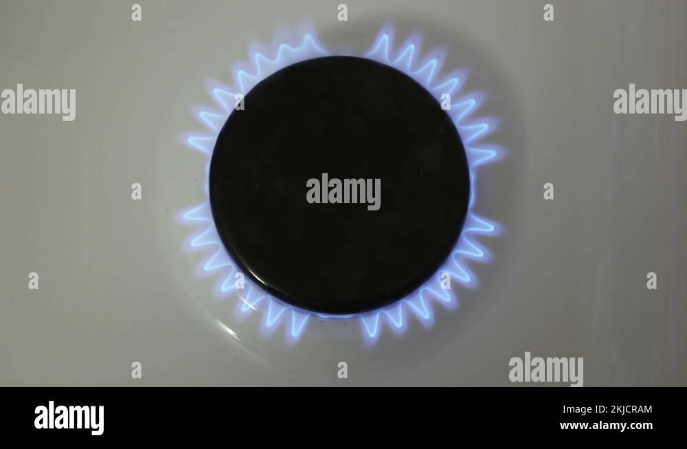 A burning gas burner. The kitchen gas burner burns in blue. A gas ...