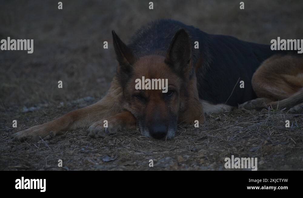 Cool ground Stock Videos & Footage - HD and 4K Video Clips - Alamy