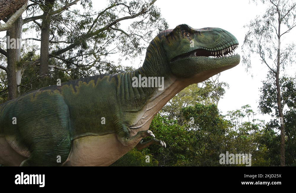 Tyrannosaurus rex model Stock Videos & Footage - HD and 4K Video Clips ...