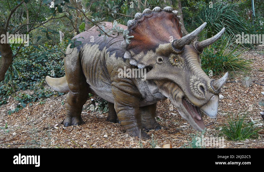 Triceratops paleontology Stock Videos & Footage - HD and 4K Video Clips ...