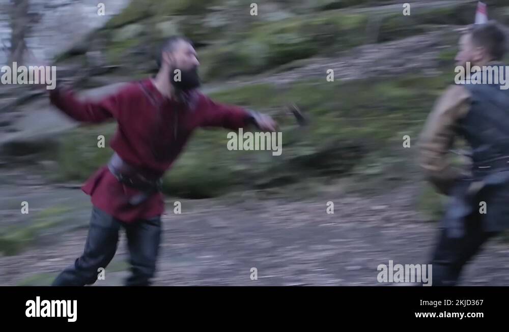 Viking shield sword Stock Videos & Footage - HD and 4K Video Clips - Alamy