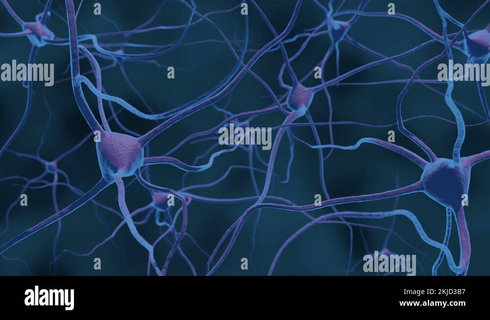 3d brain neurons Stock Videos & Footage - HD and 4K Video Clips - Alamy