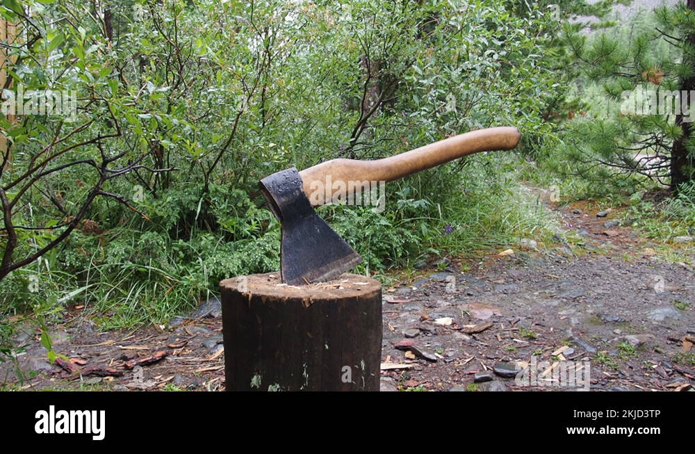 A large axe is stuck in a log. A sharp axe was driven into a tree at an ...