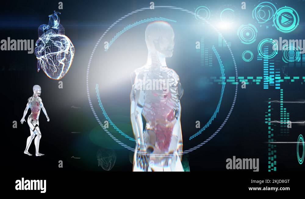 medical Interface, analysis of Human Male Anatomy Scan on Futuristic ...