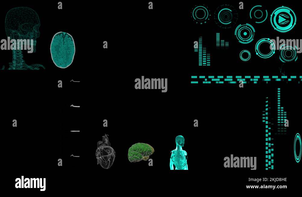 medical Interface, analysis of Human Male Anatomy Scan on Futuristic ...