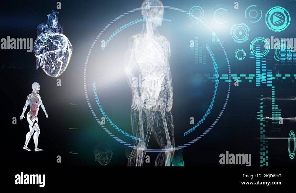medical Interface, analysis of Human Male Anatomy Scan on Futuristic ...
