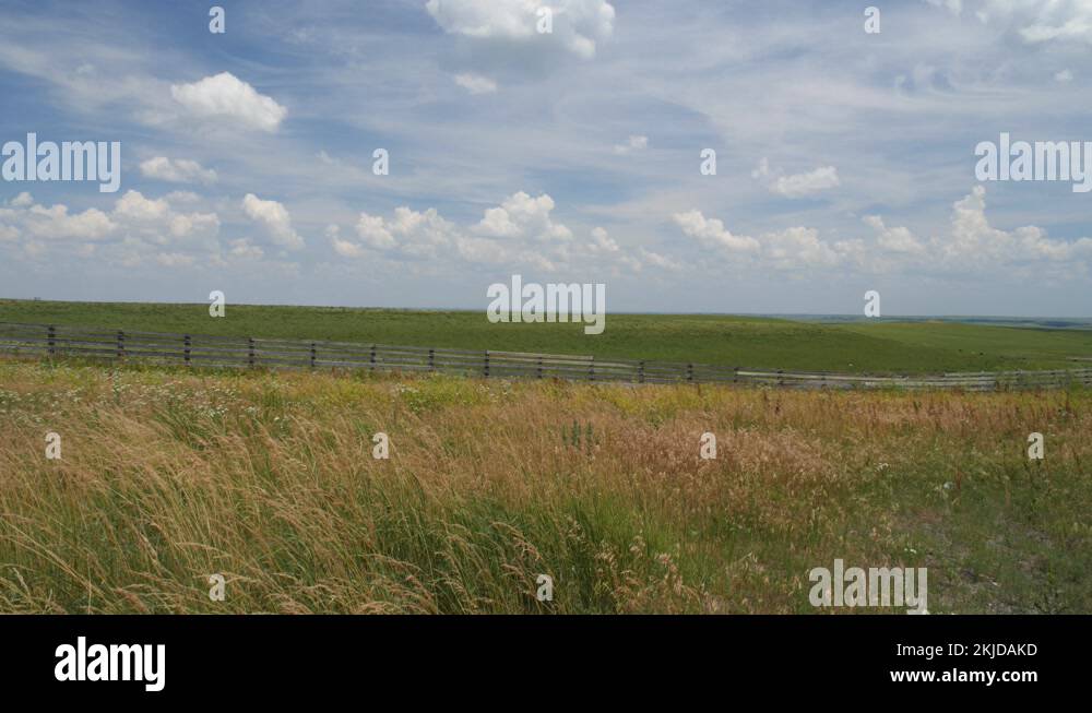Grassland prairie Stock Videos & Footage - HD and 4K Video Clips - Alamy
