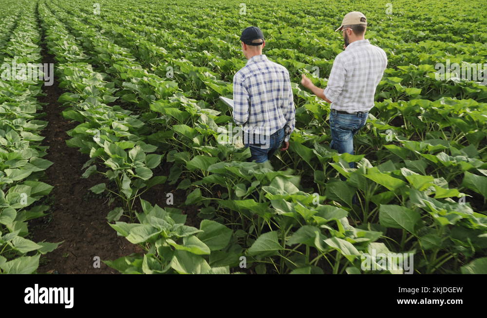 Two farmers talking Stock Videos & Footage - HD and 4K Video Clips - Alamy
