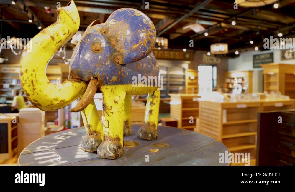 Elephant center Stock Videos & Footage - HD and 4K Video Clips - Alamy